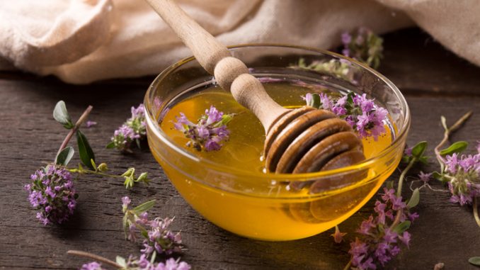 Timijanov medeni sirup proti kašlju - Eko Dežela