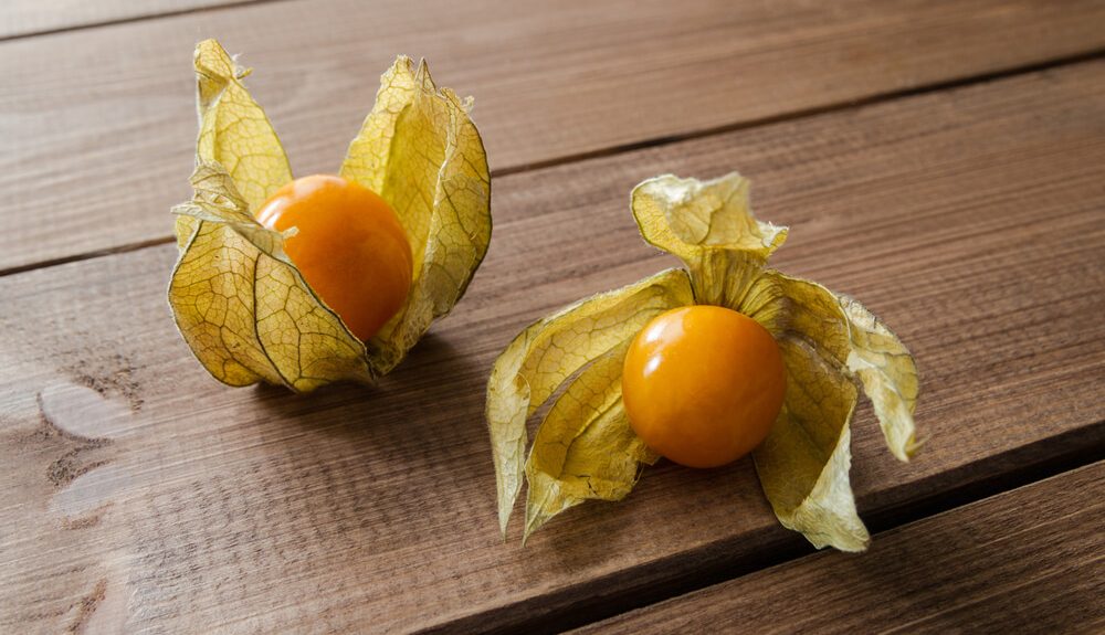 Perujska češnja ali andska jagoda - Eko Dežela