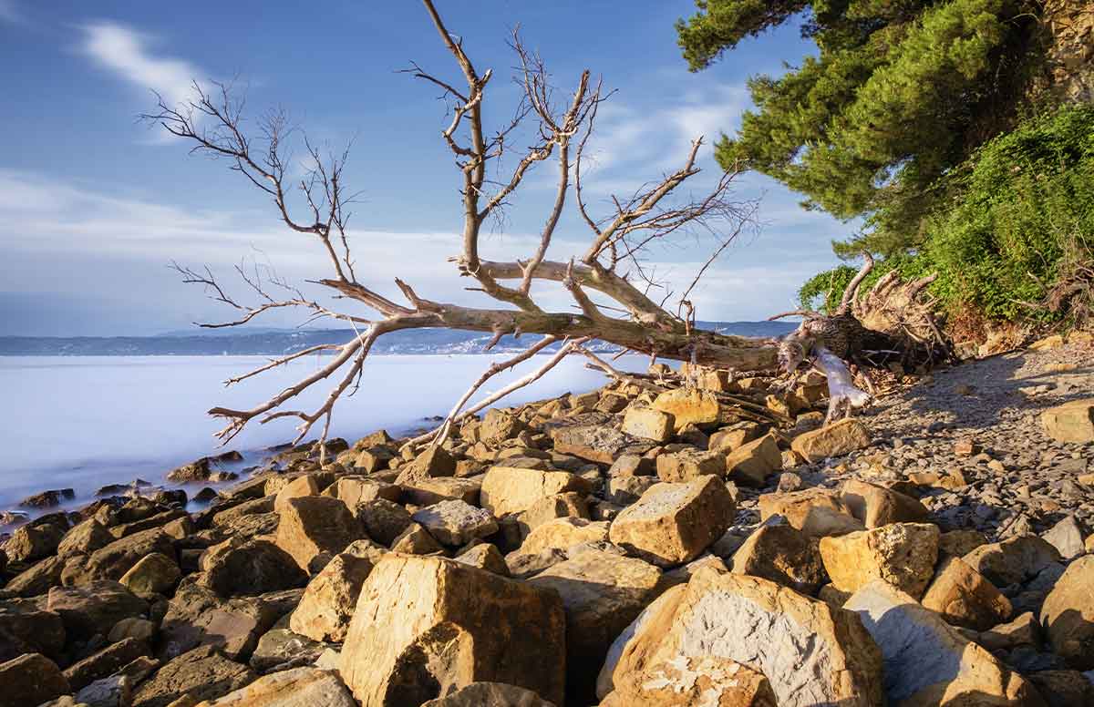 Krajinski park Debeli rtič prejel trajnostni znak Inheritura - Eko Dežela