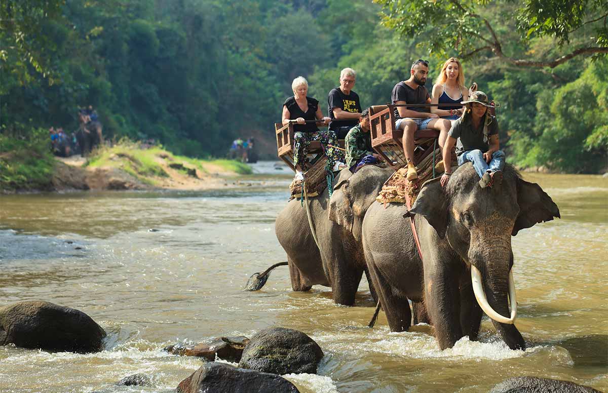 Turistične atrakcije, krute do živali - Eko Dežela