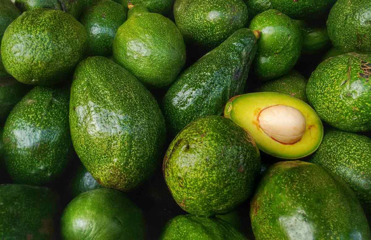 Avokado - ker je tako pogosto na jedilniku, je postal sporen za okolje